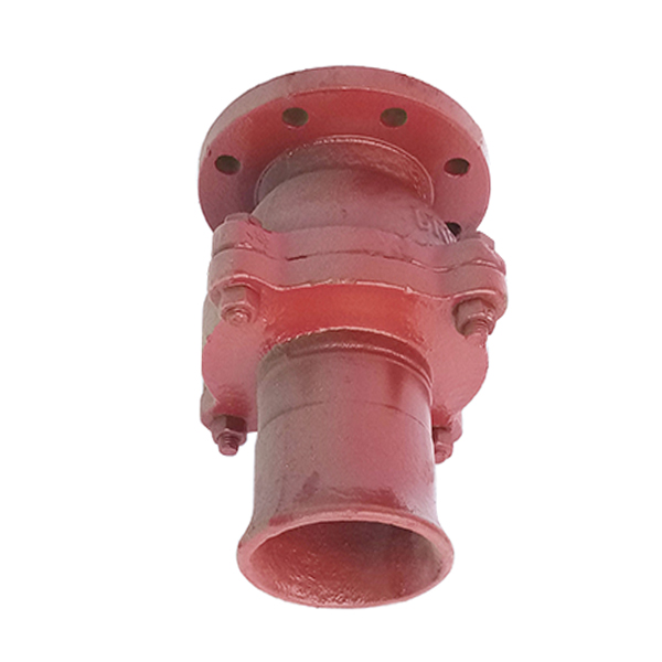CBT3478 Cast Iron Suction Check Valve - DIN Marine Valve - Hi-Sea Stocks