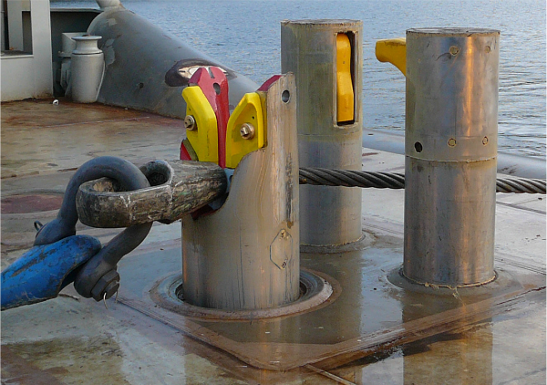 Fork Type Shark Jaw - Marine Shark Jaw - Hi-Sea Stocks