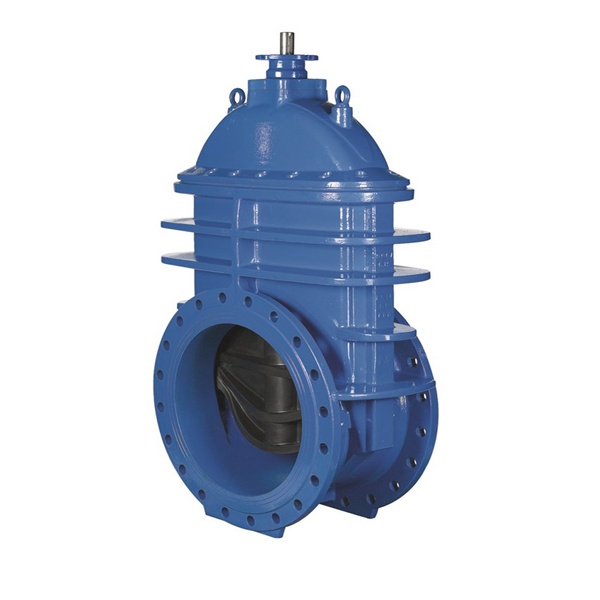 CBT3955-2004 Cast Iron flanged gate valve - DIN Marine Valve - Hi-Sea ...