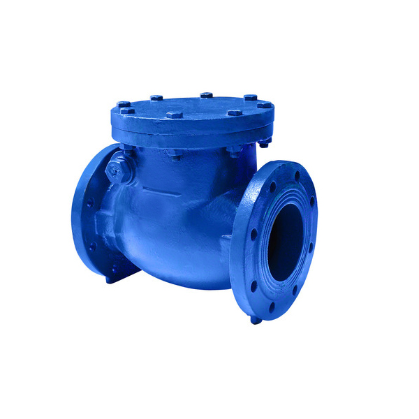 JIS F7372 - JIS 10K Cast Iron Swing Check Valve - JIS Marine Valve - Hi ...