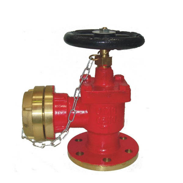 Cast Iron Angled Fire Hydrant Landing Globe Valve - DIN Marine Valve ...